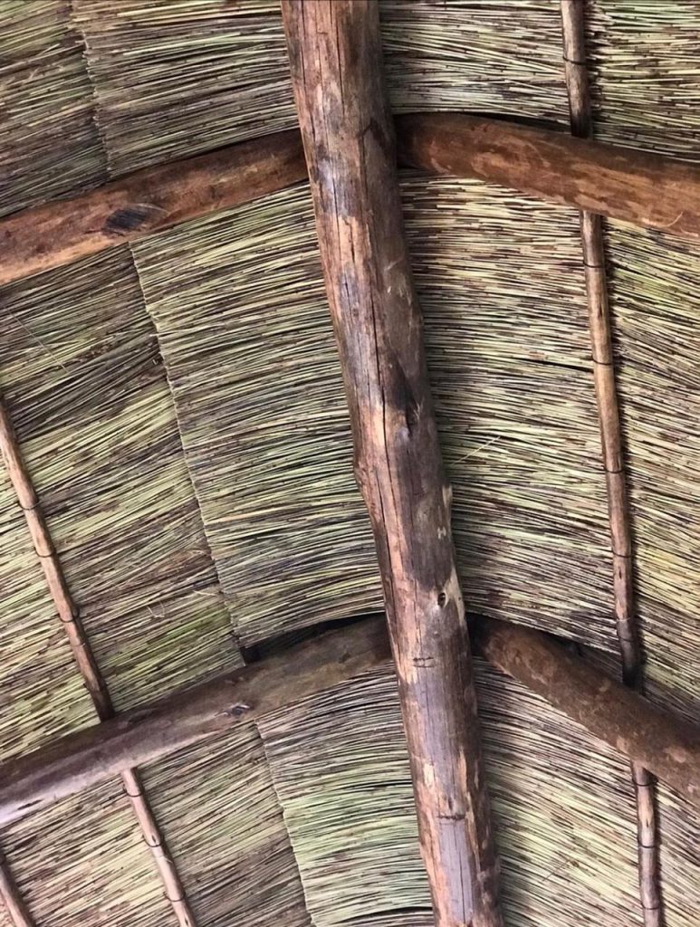 Cape Reed Grass Ceiling - MADJOHNS